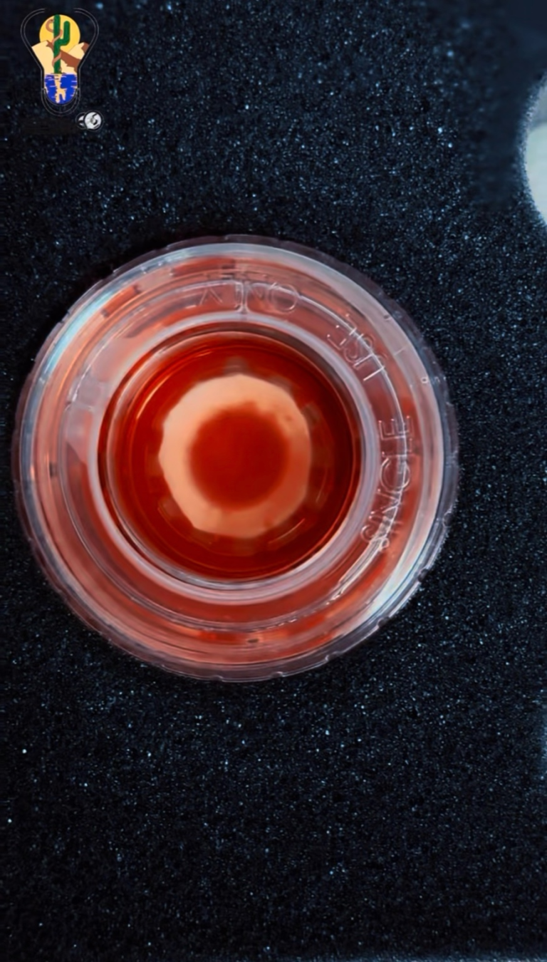 Trasplantes de córnea: una década devolviendo la vista en Baja ...